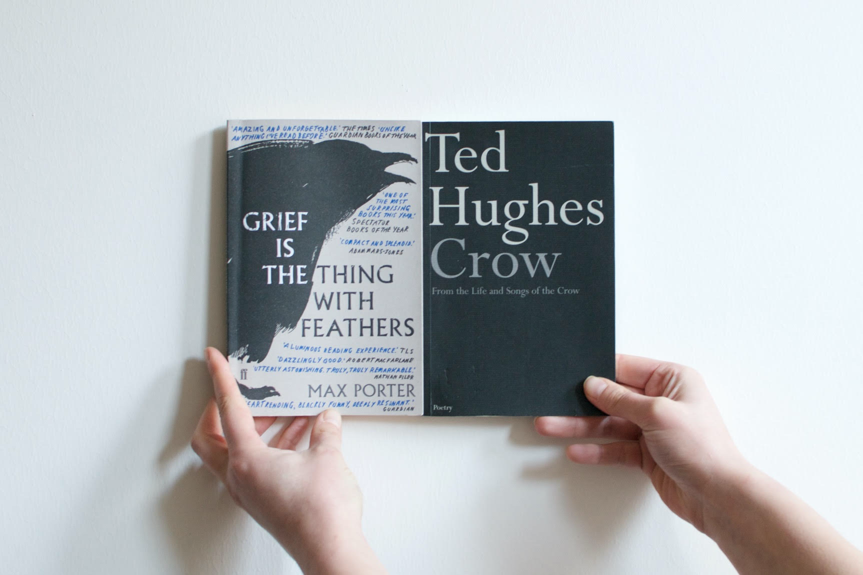 By the Book #19 – Grief is the Thing with Feathers by Max Porter – The ...