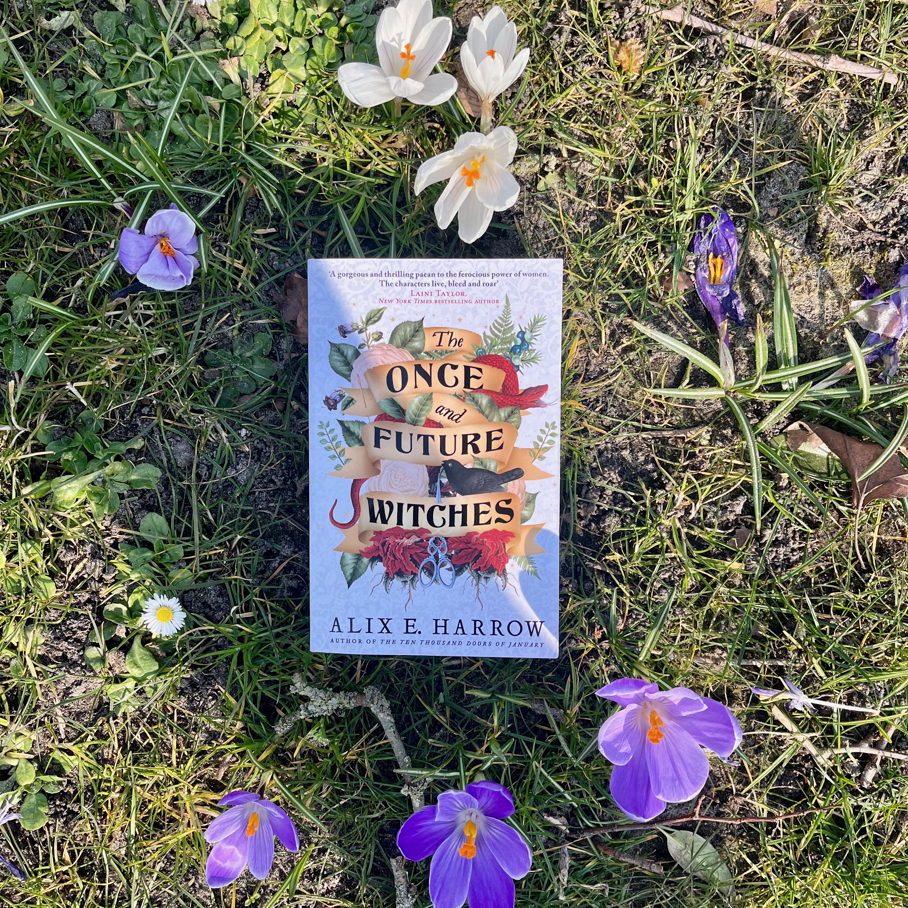 By the Book #42 – The Once and Future Witches by Alix E. Harrow – The ...