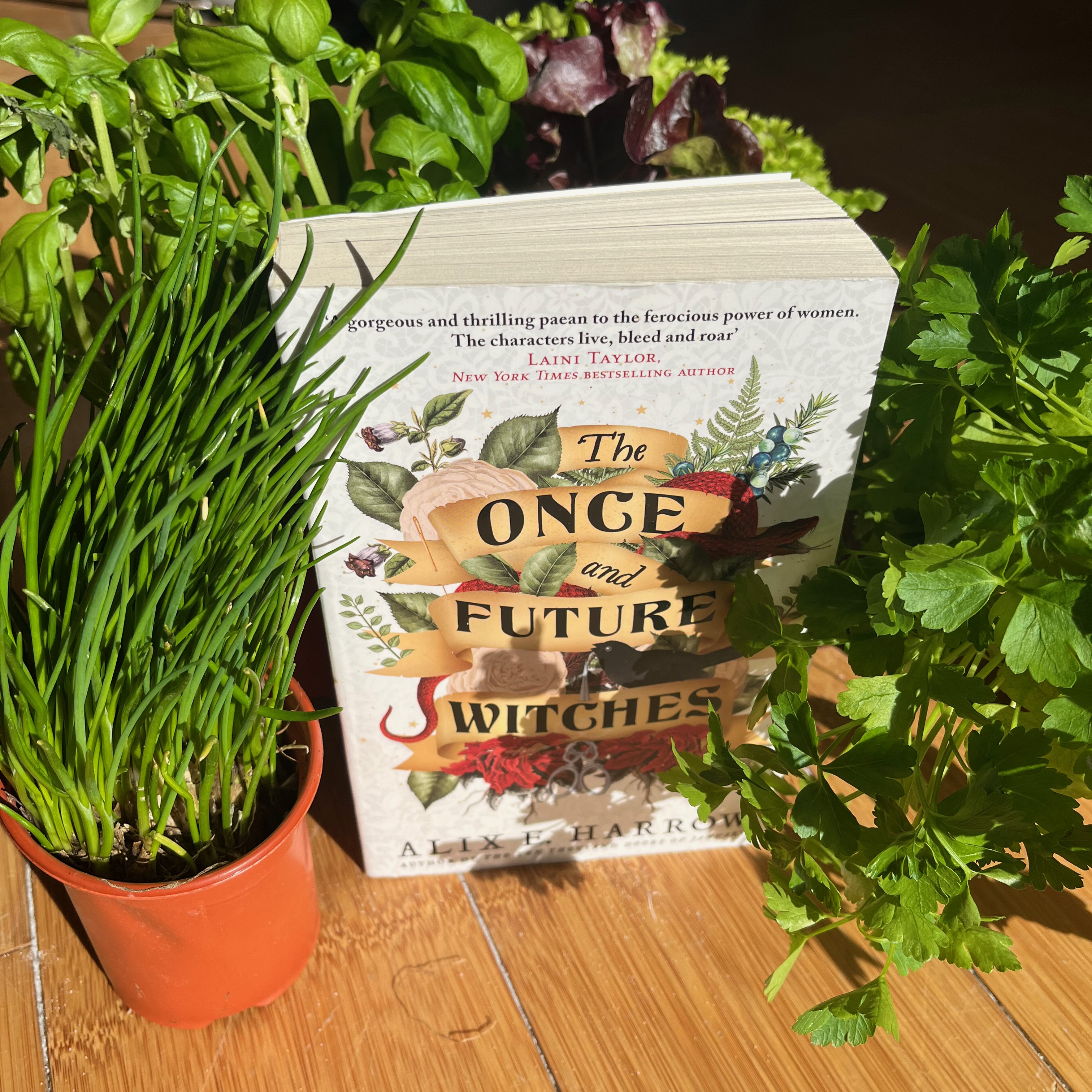 By the Book #42 – The Once and Future Witches by Alix E. Harrow – The ...
