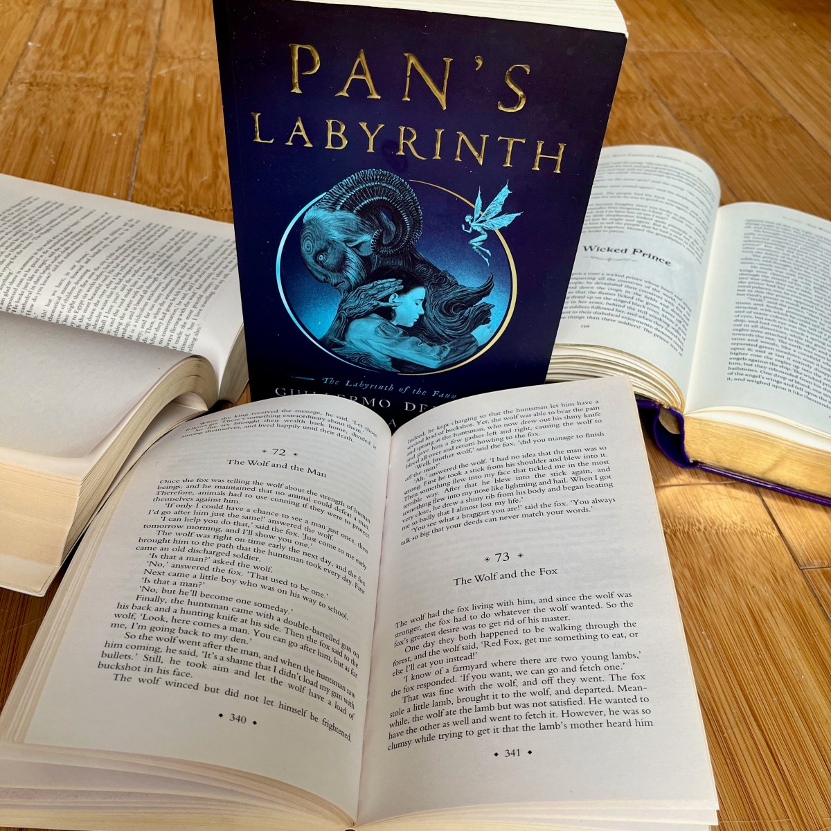 “We All Create Our Own Fairy Tales” – Pan’s Labyrinth by Cornelia Funke ...